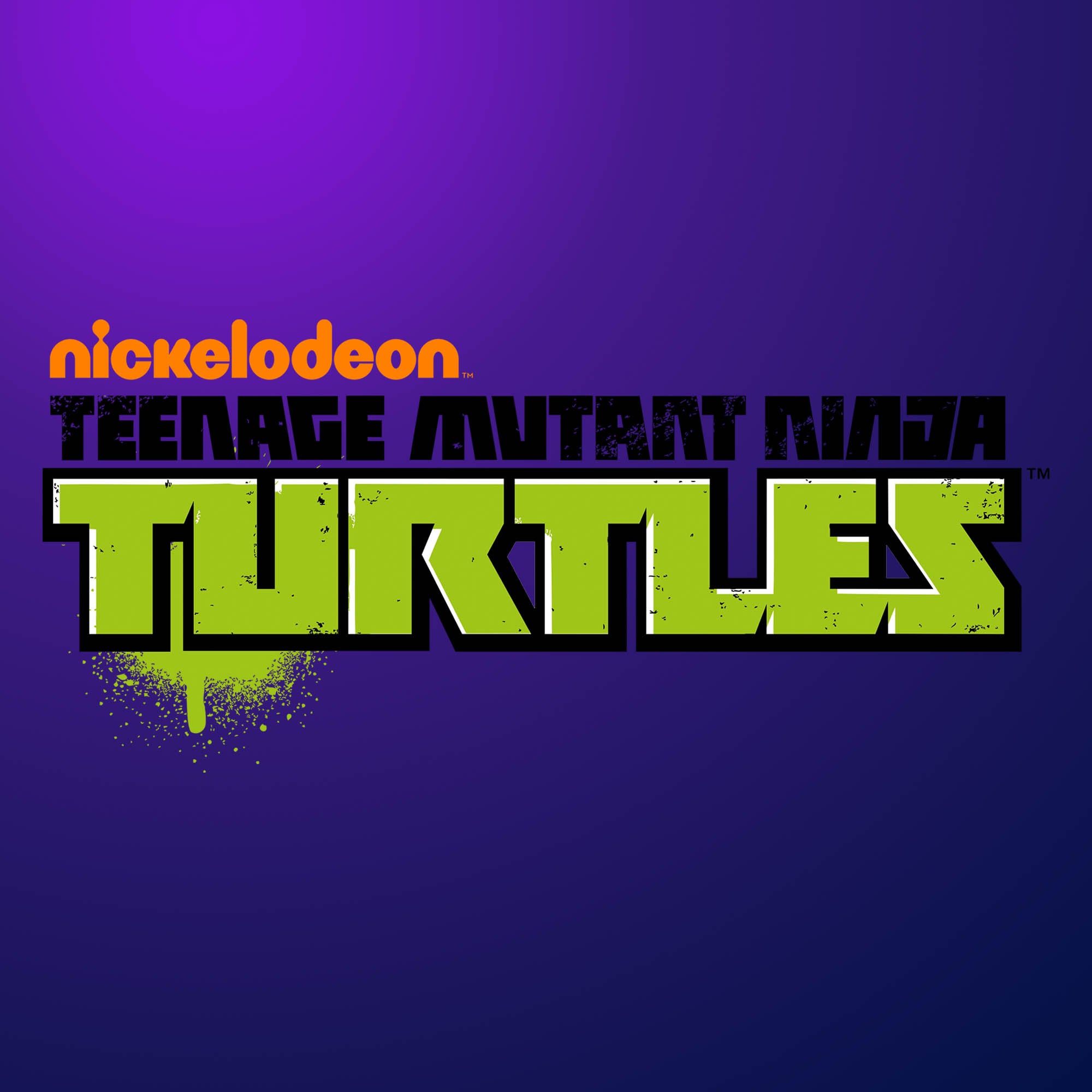 TMNT Sets – United Brick Co®