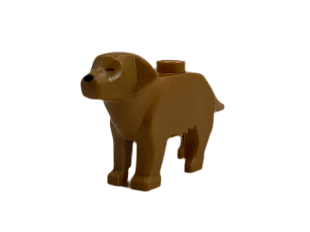 Dog, Labrador / Golden Retriever, 69962pb02 – United Brick Co®