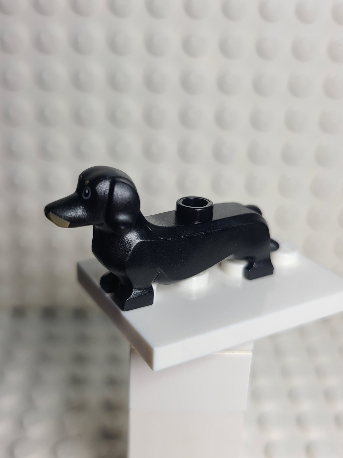 Dachshund Black w/ Tan Markings – Atlanta Brick Co