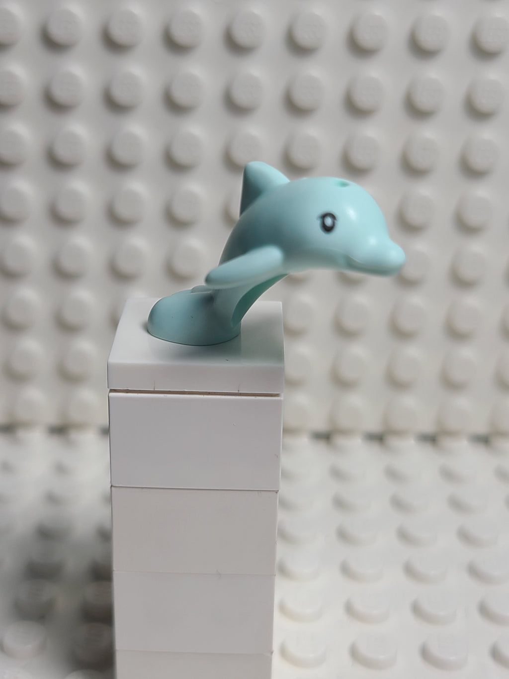 Baby Dolphin – United Brick Co®