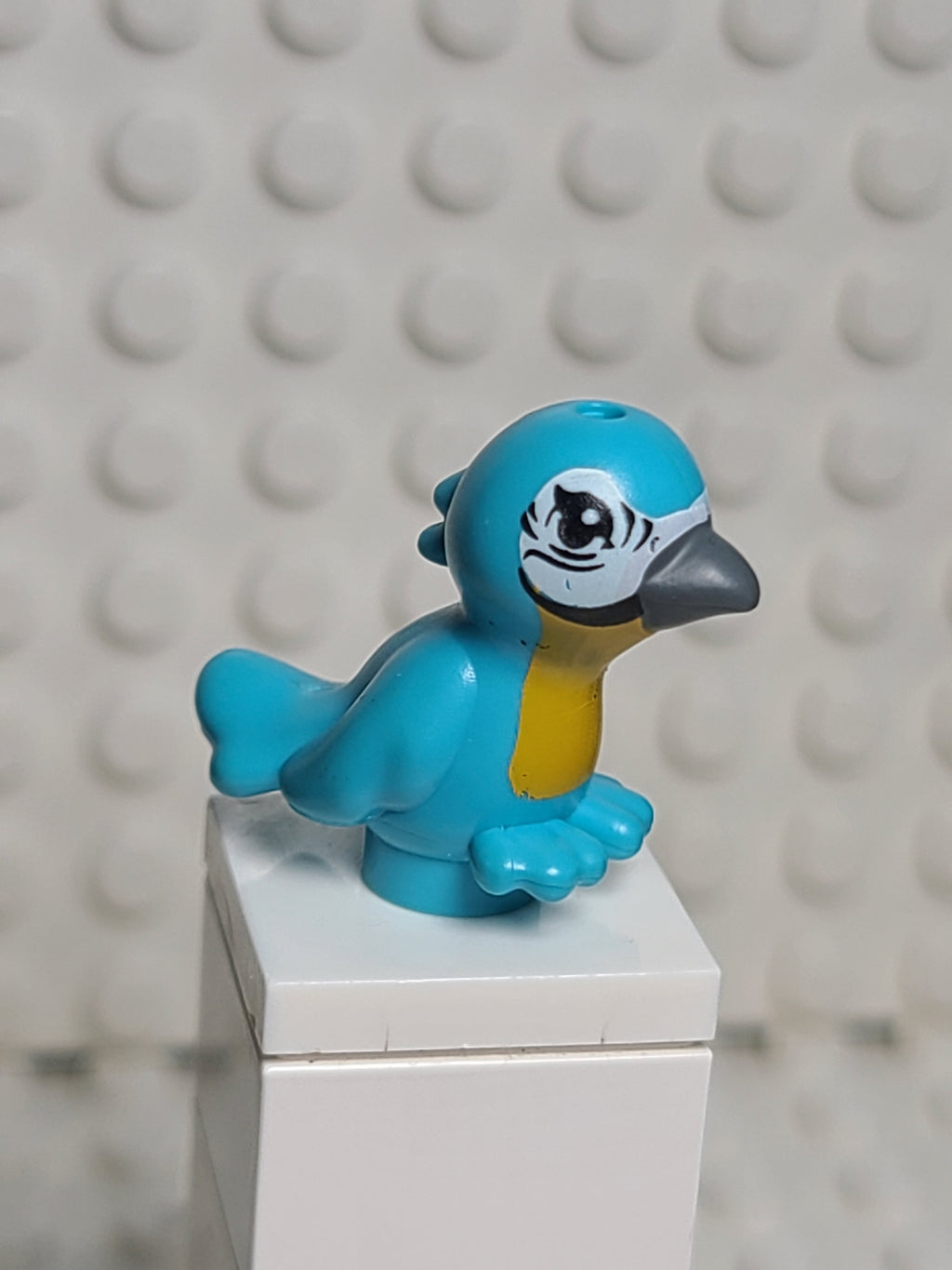Bird, Medium Azure Body w/ Bright Light Orange Chest – United Brick Co®