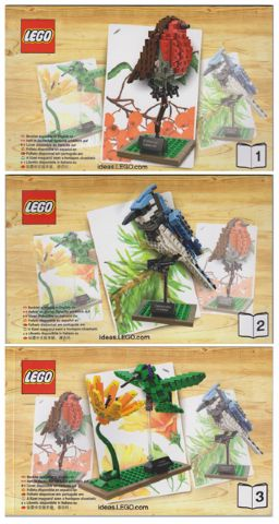 21301-Birds - INSTRUCTIONS ONLY – United Brick Co®
