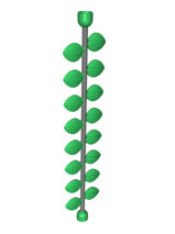 Plant, Duplo Vine 14L, Part# 89158 – United Brick Co®