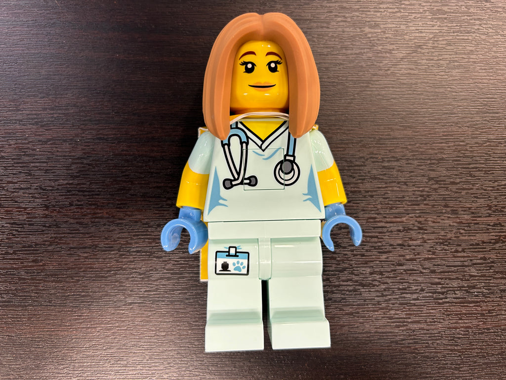 LED Torch Flashlight: Veterinarian / Nurse (LEDLITE) – United Brick Co®