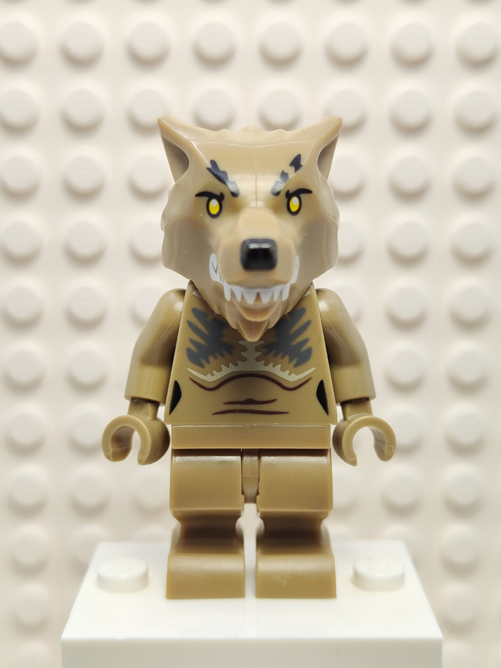 Professor Remus Lupin - Werewolf, hp348 – United Brick Co®