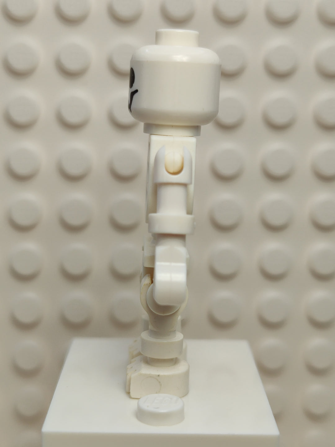 Skeleton with Standard Skull, gen001 – Atlanta Brick Co