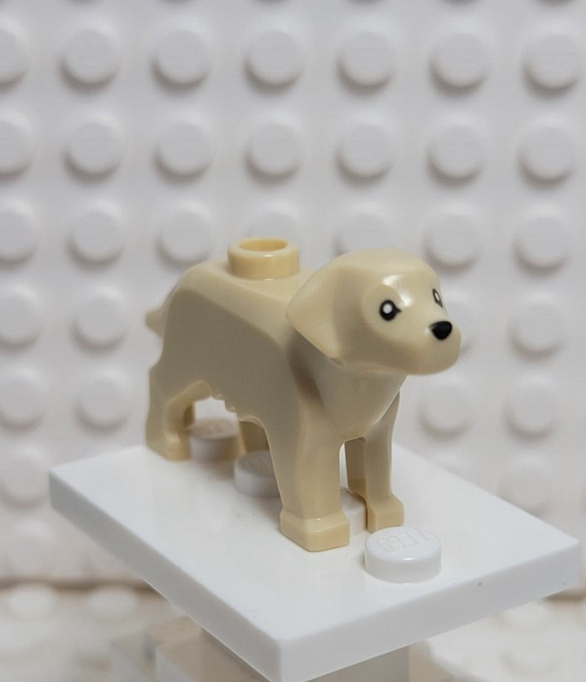 Labrador - 69962pb01 – United Brick Co®