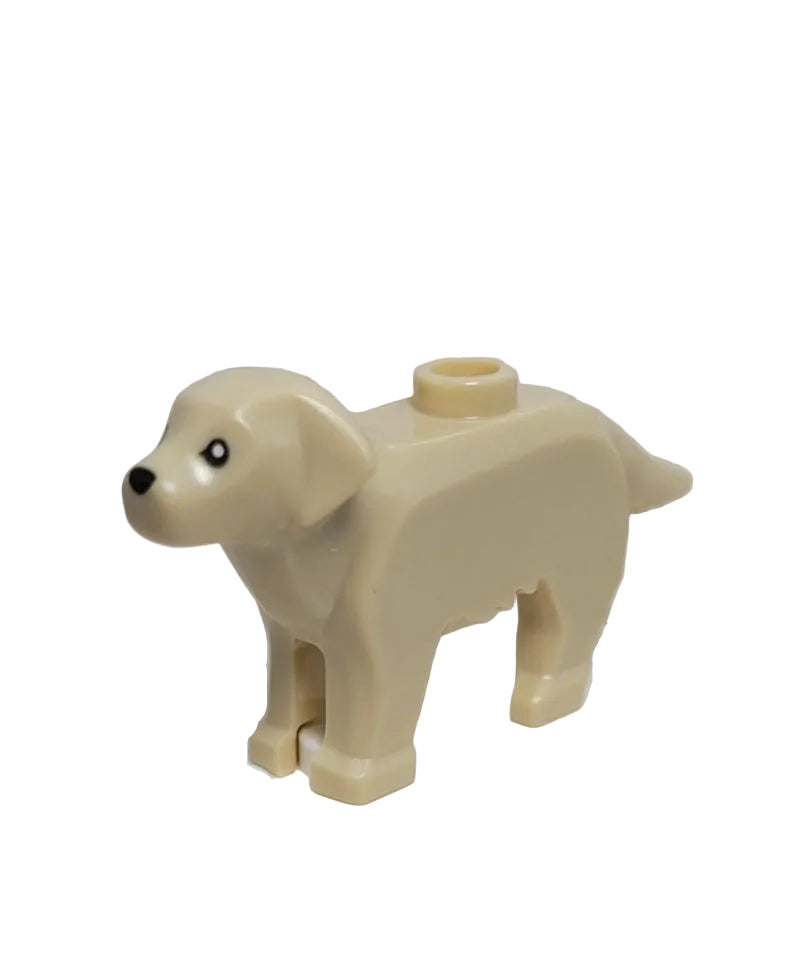 Labrador, 69962pb01 - LEGO® Animal – United Brick Co®