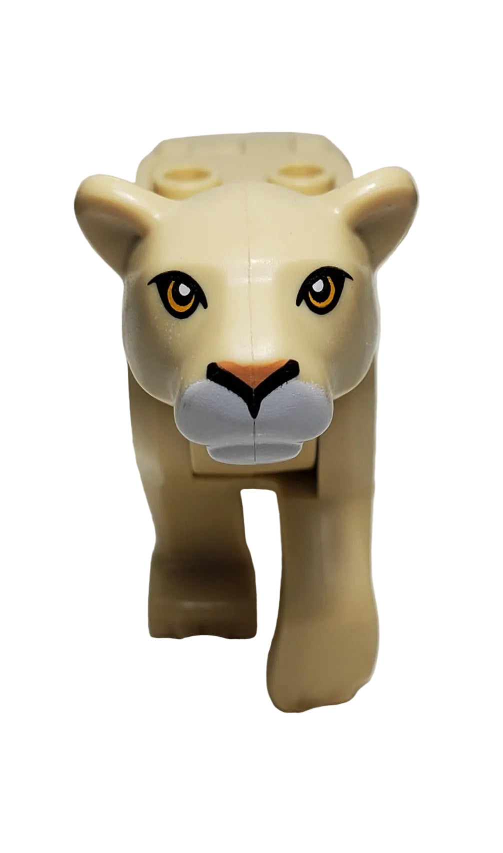 Lioness - bb0787c01pb05 – United Brick Co®