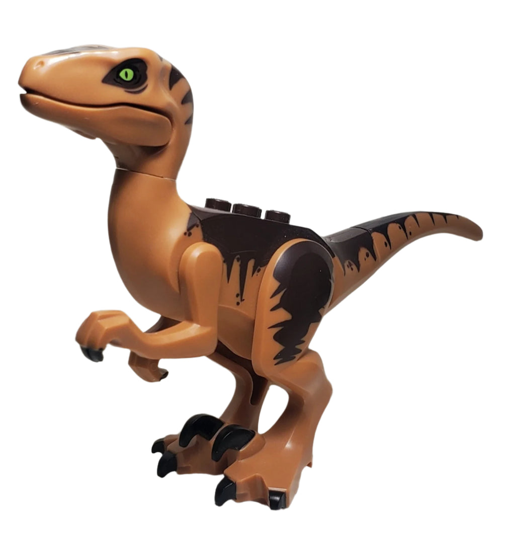 LEGO® Raptor/Velociraptor Dark Brown Back – United Brick Co.