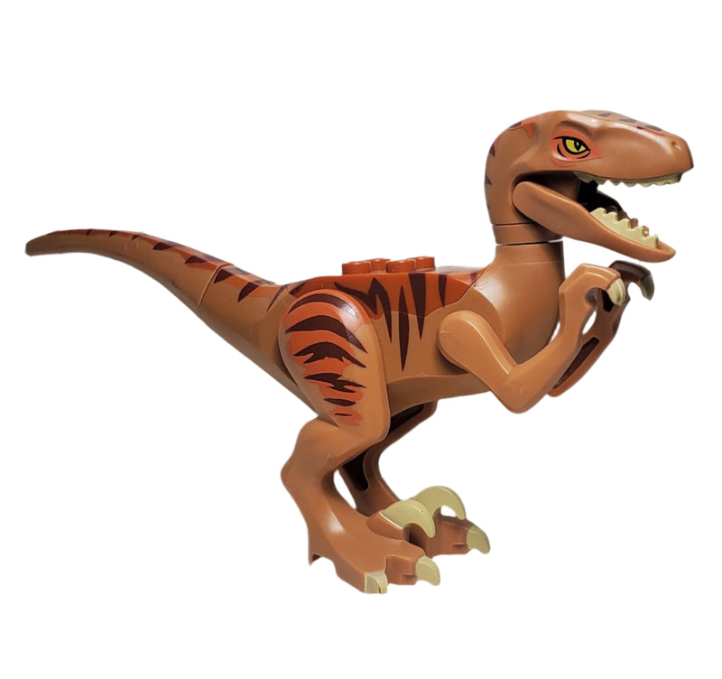 LEGO® Raptor/Velociraptor with Dark Orange Back – Atlanta Brick Co