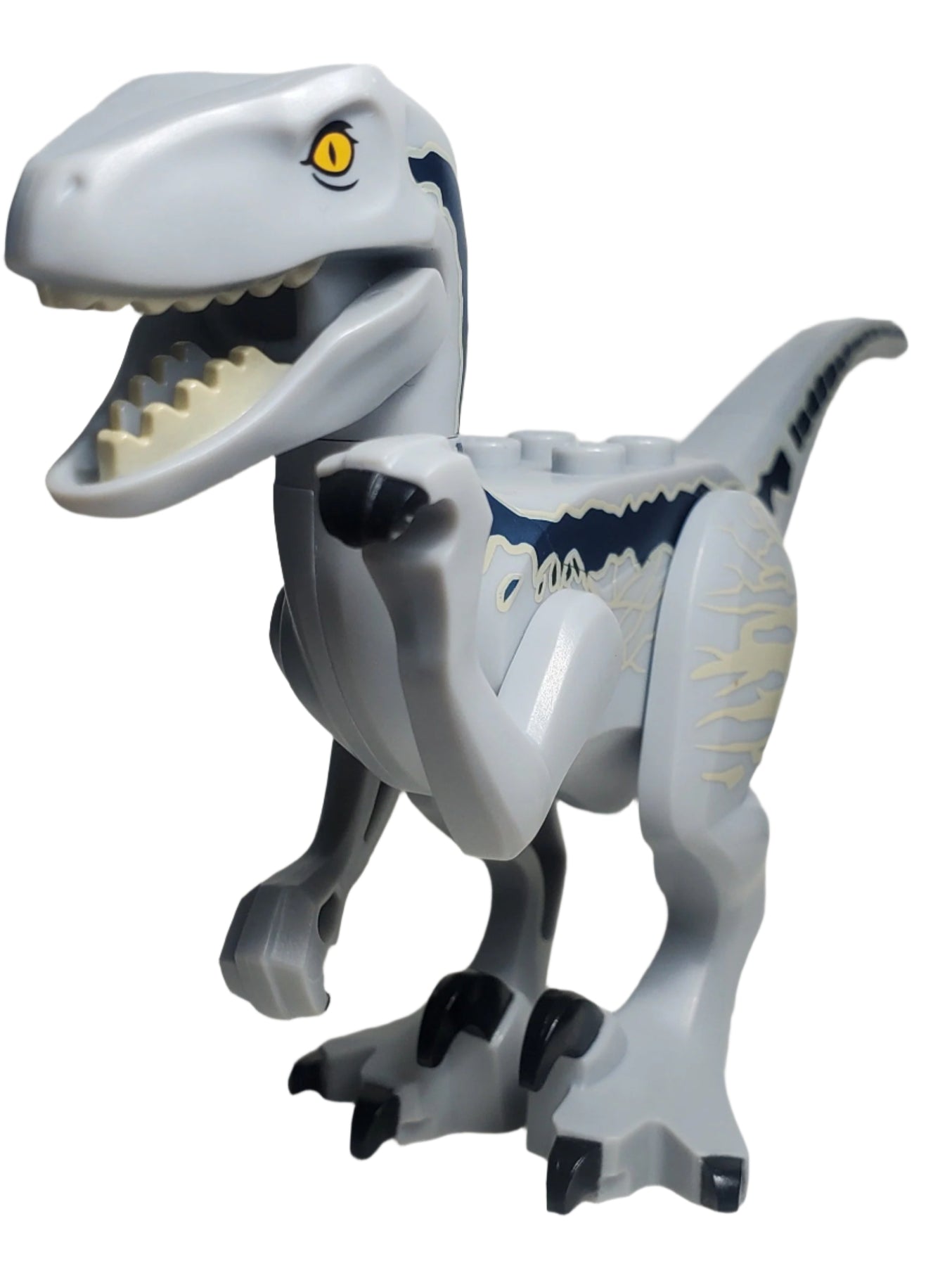LEGO® Raptor/Velociraptor Dark Blue and Tan Markings (Jurassic World B ...